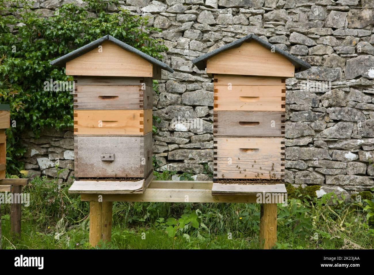 Bee hives pollination food hi-res stock photography and images - Alamy