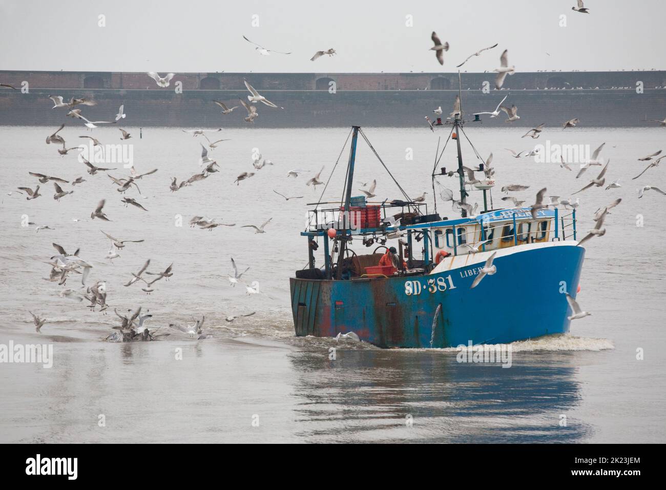 Flying fish fleet hi-res stock photography and images - Alamy