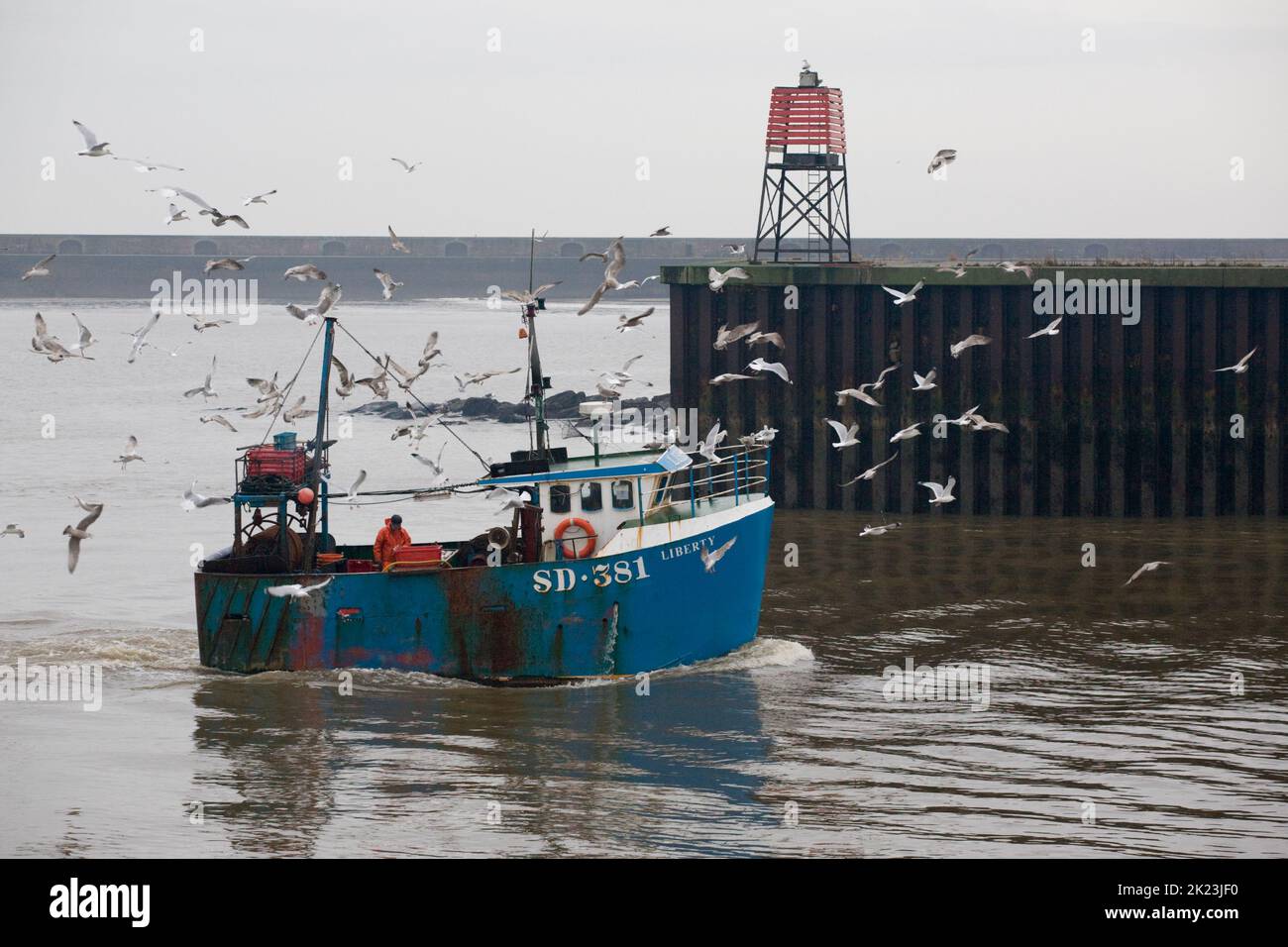 A small blue fishing boat trails seagulls as it return to the Fish Quay ...