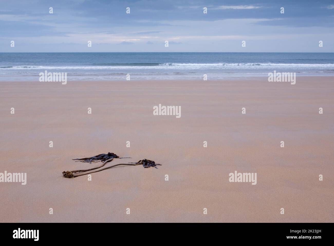 Perfect deserted sandy beach at Embleton Bay on the Northumberland ...