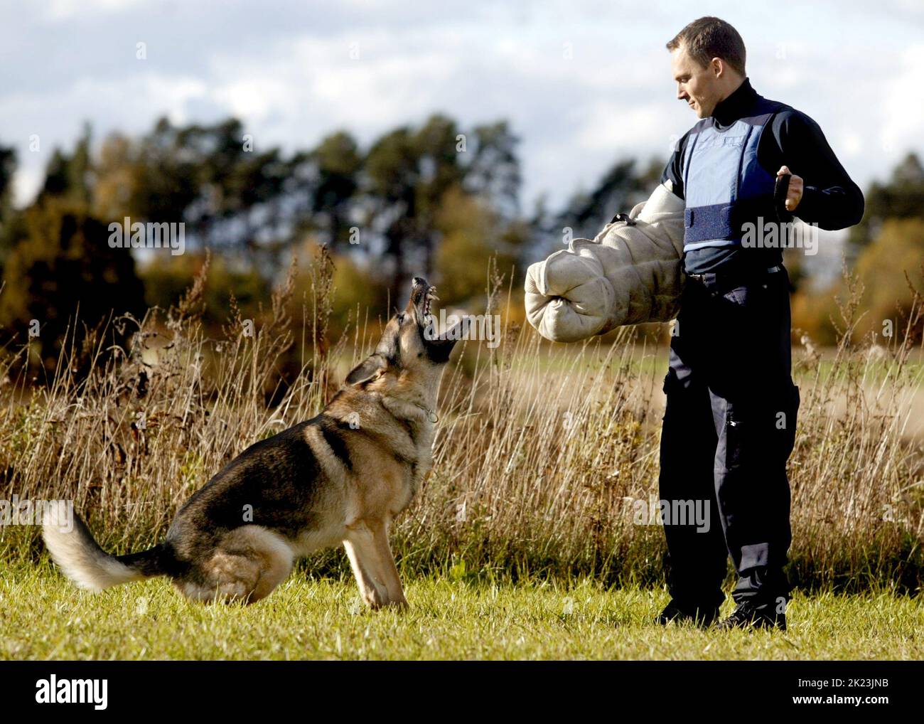 Police officer with police dog during a training session Stock Photo ...