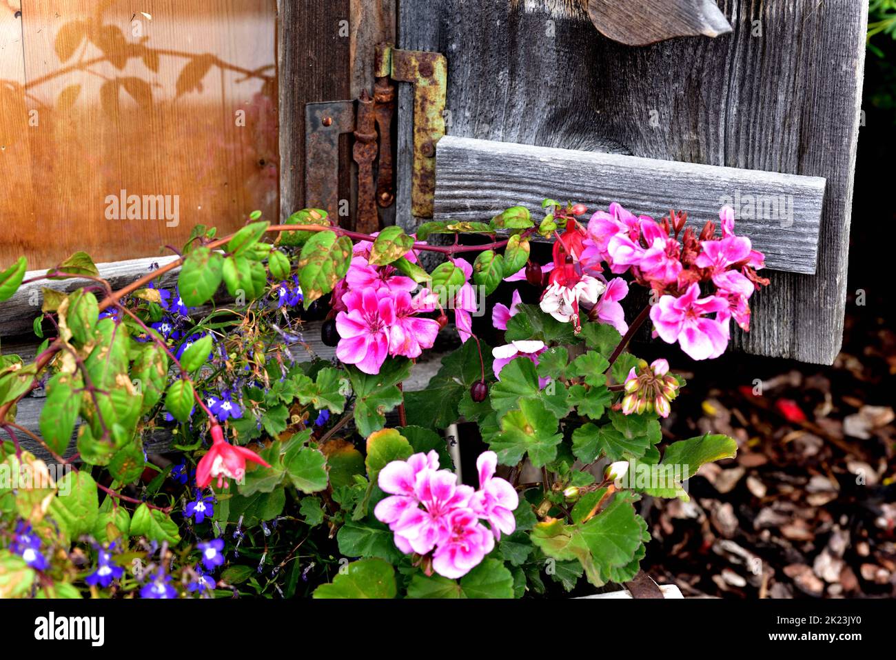 The tradition and culture of flowers is very present in the mountain ...