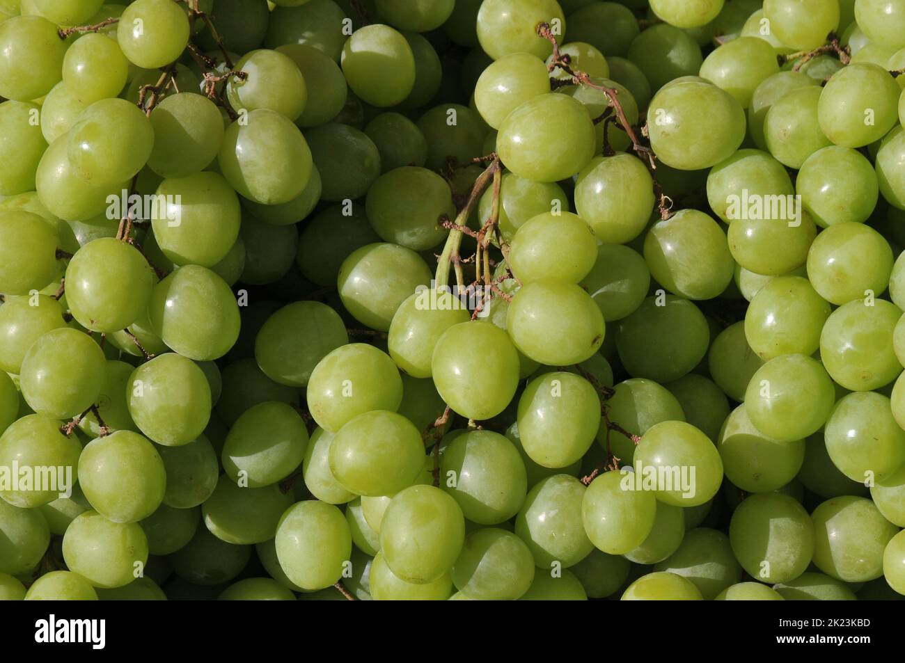 Copenahgen /Denmark/22 Septemeber2022/Grapes fruit display or sale ...