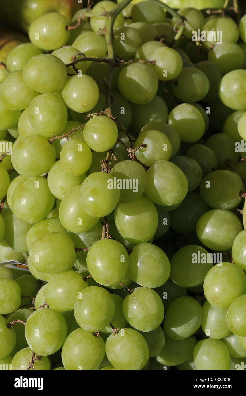 Daniush food hi-res stock photography and images - Alamy