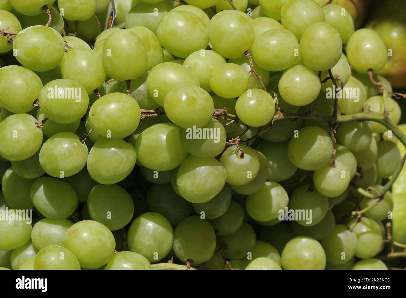 Copenahgen /Denmark/22 Septemeber2022/Grapes fruit display or sale ...