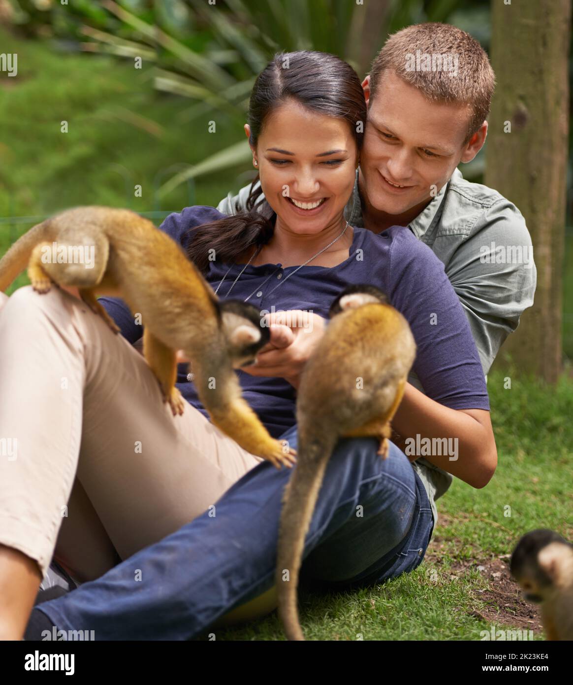 Just monkeying around. a young couple spending time at an animal sanctuary Stock Photo - Alamy