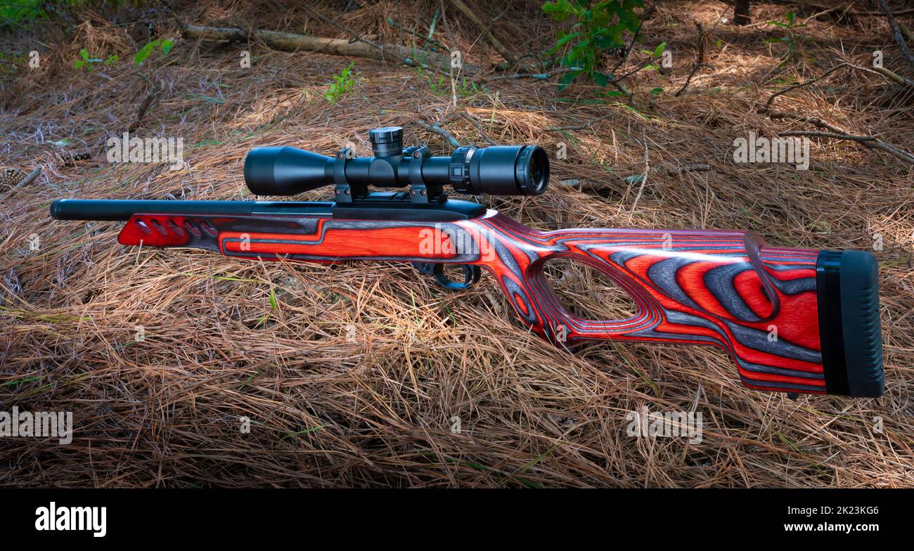 Red semi-automatic rimfire rifle with scope on a forest floor Stock ...