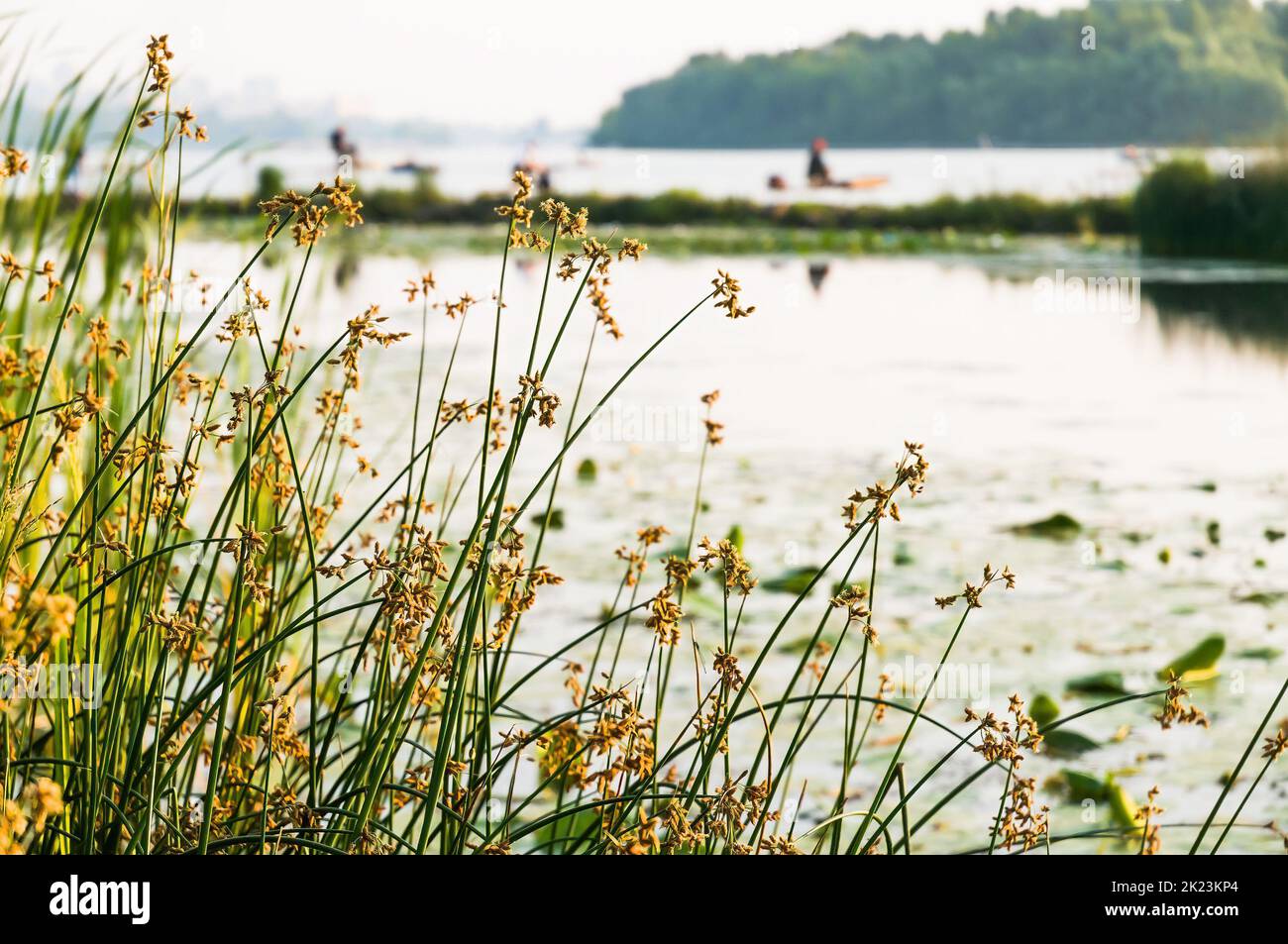 A quiet view of the Dniper river soon at dawn Stock Photo - Alamy