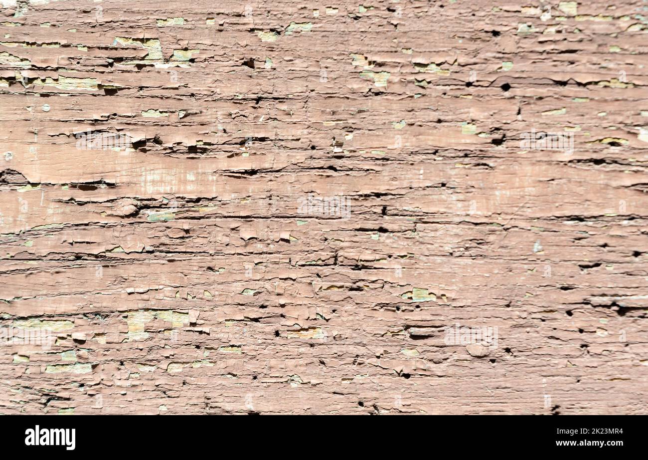 The old plank rotted with paint peeling off. Wooden background. Close ...