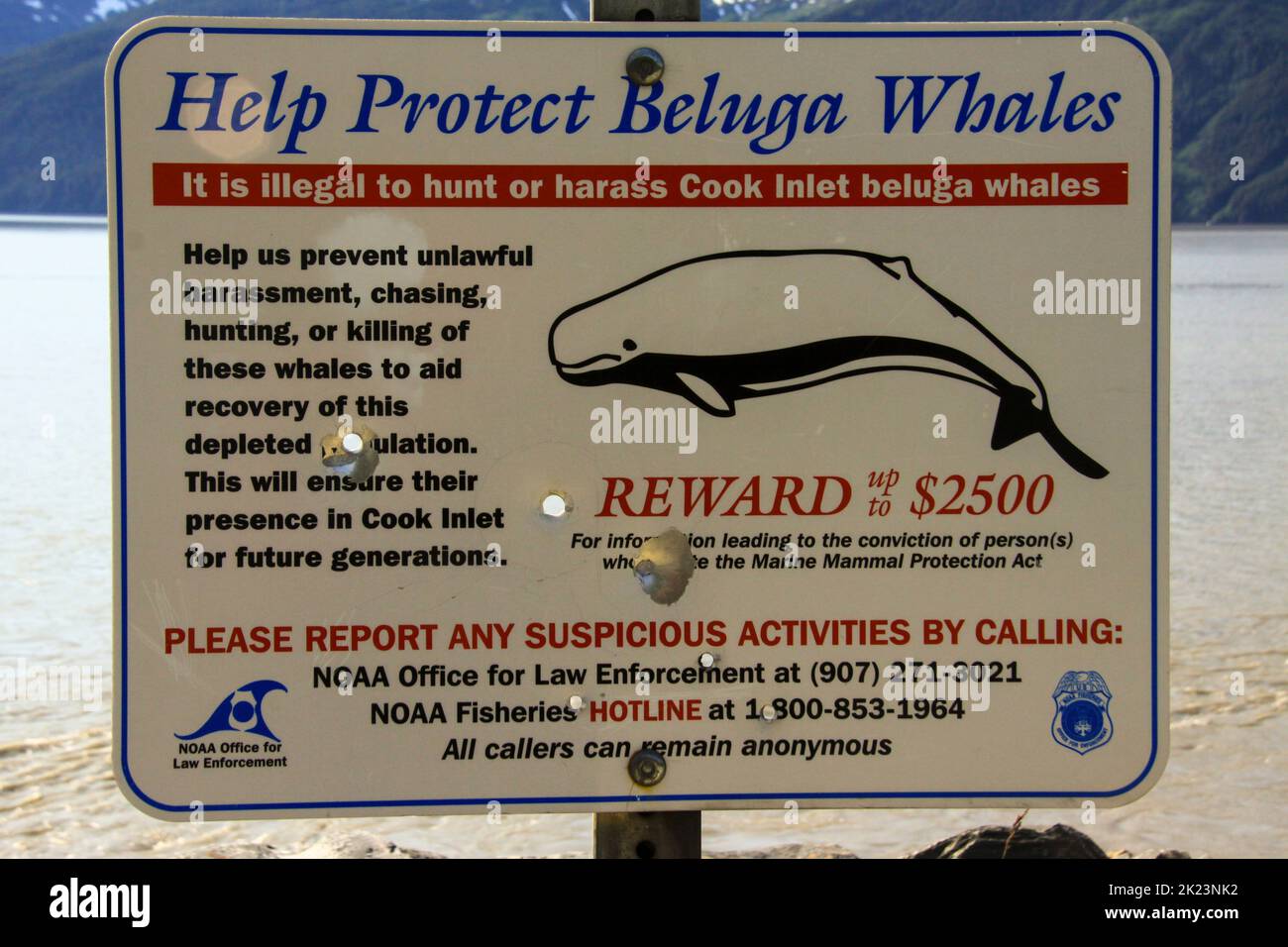 Warning Sign Photographed near Homer, Alaska. Homer is a city in Kenai ...