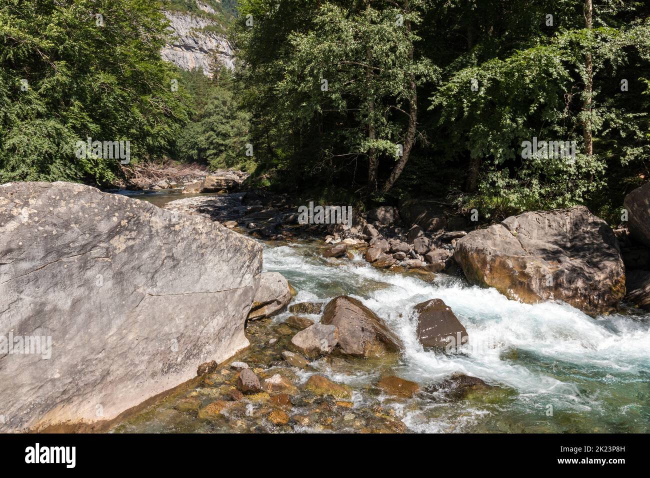 Panoramic valley landscape with crystal clear river, stones and tall ...