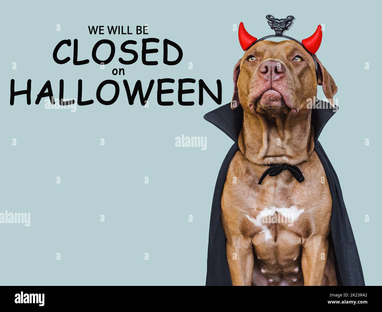 Count dracula sign hi-res stock photography and images - Alamy