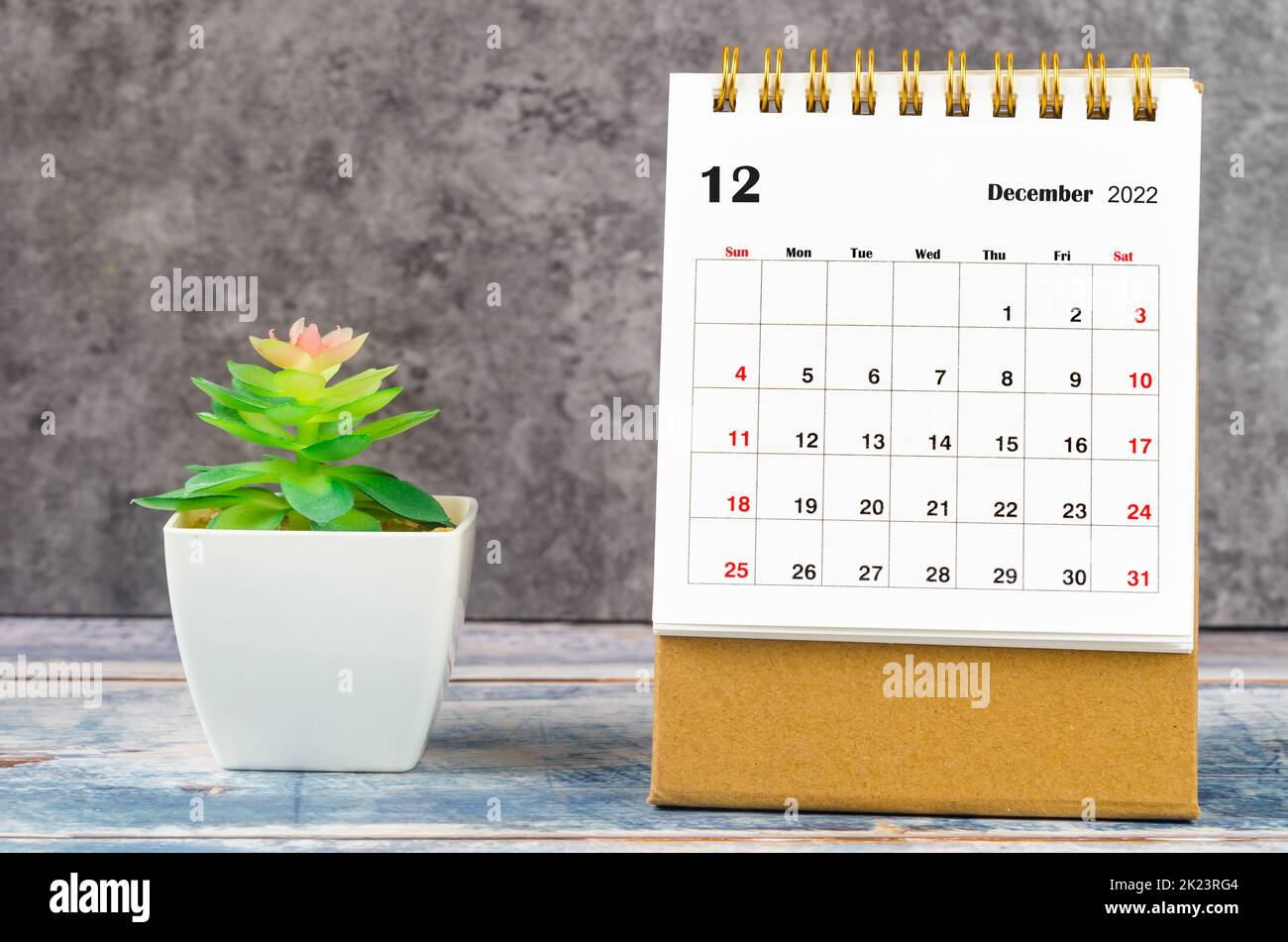 December 2022 Monthly desk calendar for 2022 year with plant pot Stock ...