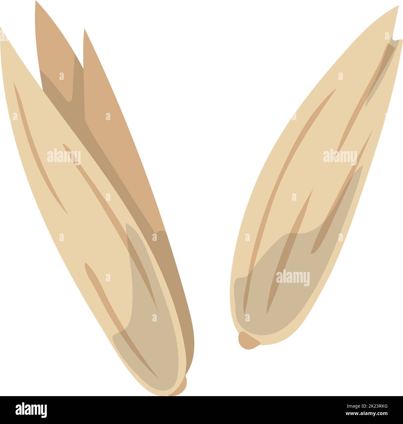 Oat raw seed. Natural grain cartoon icon Stock Vector Image & Art - Alamy