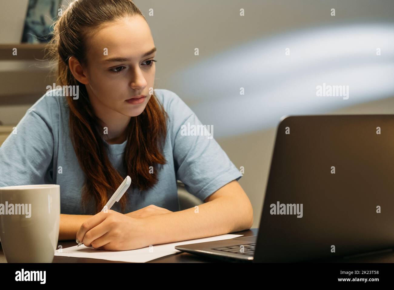 Night study. Online learning. Distance education. Remote class. Focused ...