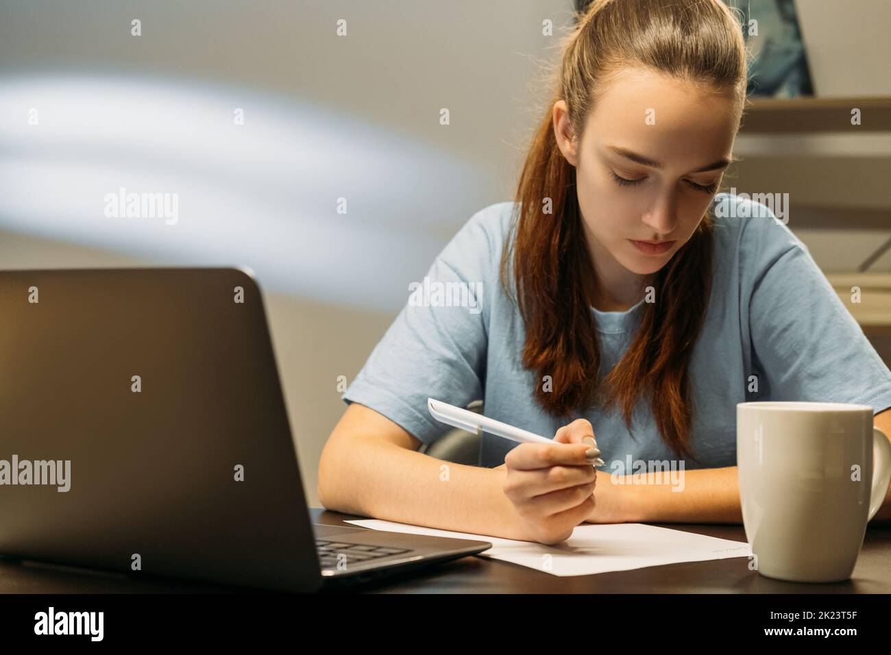 Night studying. Nerd lifestyle. Term exams preparation. Student girl ...