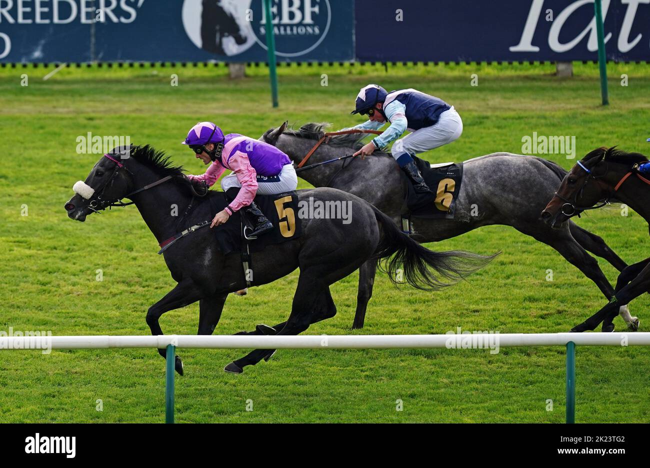 Azure blue racecourse hi-res stock photography and images - Alamy