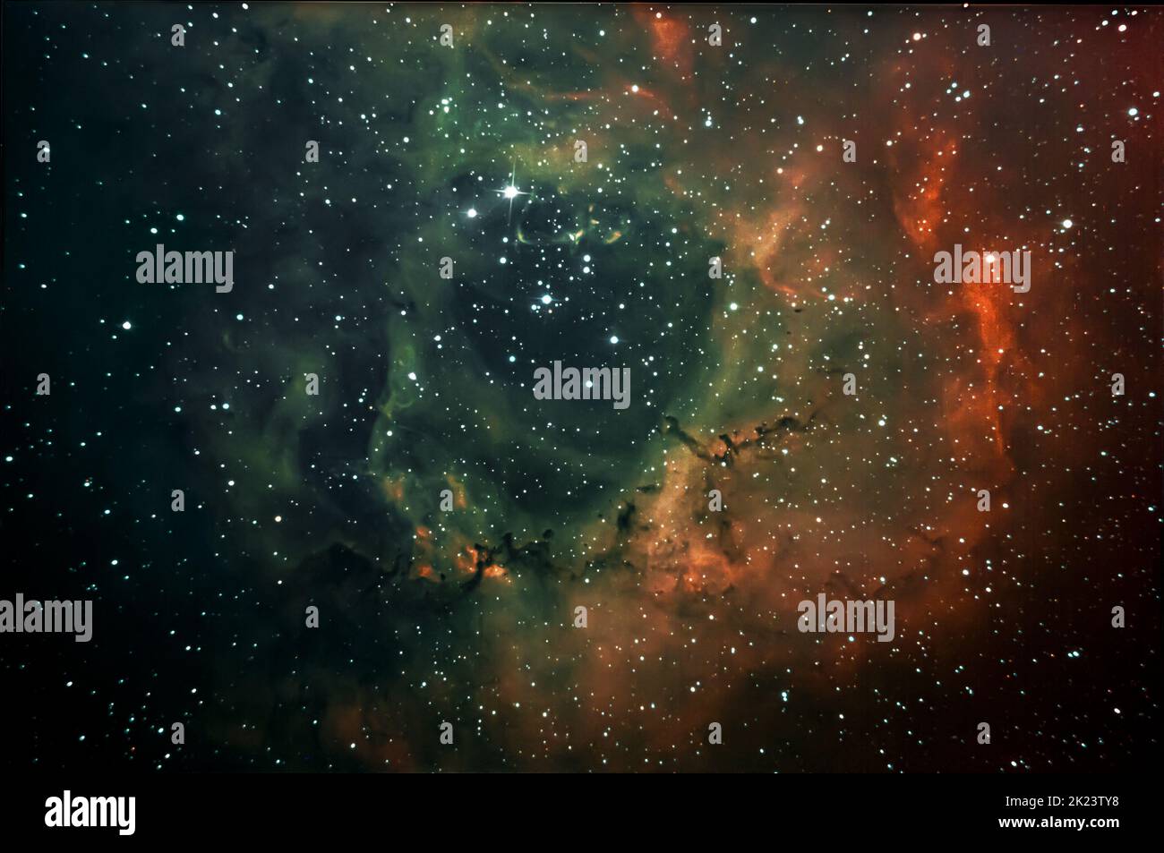 Princess rosetta hi-res stock photography and images - Alamy