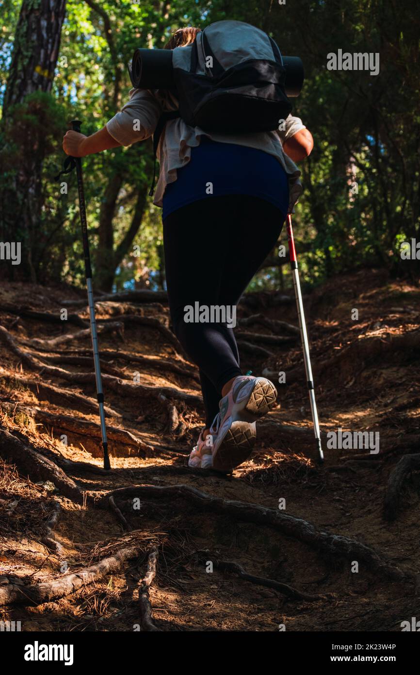 climbing a difficult route with the aid of trekking poles Stock Photo ...