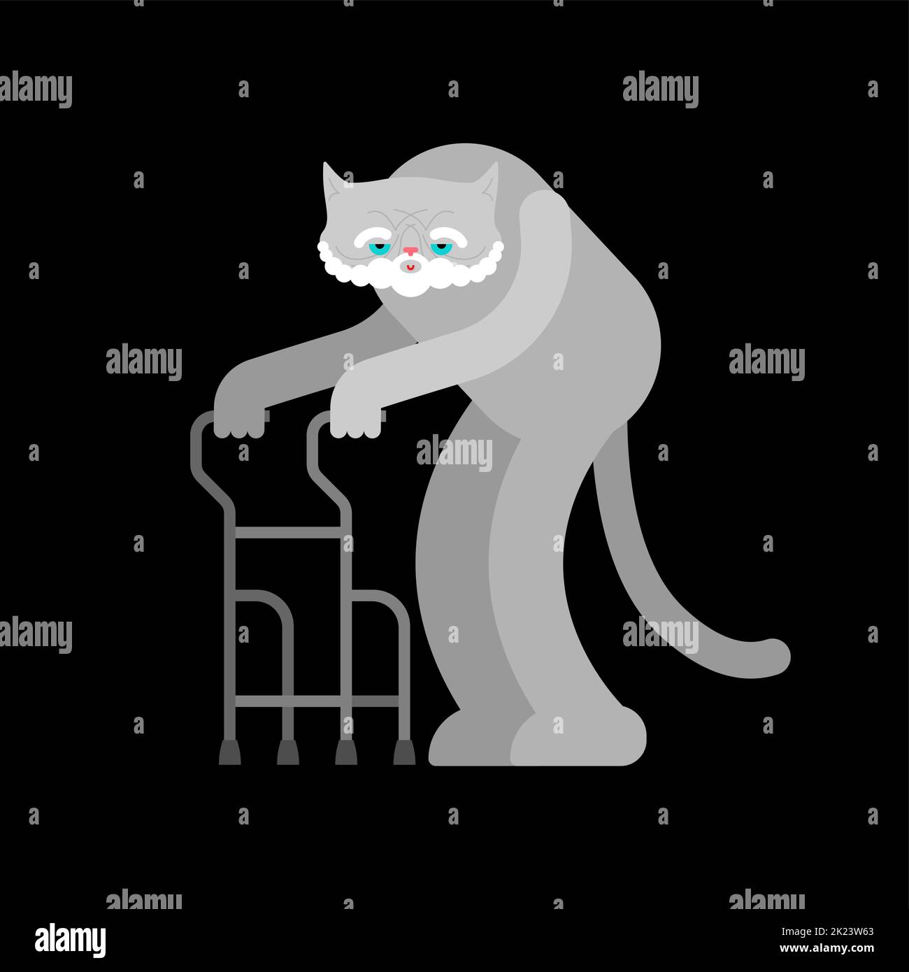 Old cat isolated. Grandpa cat. Vector illustration Stock Vector Image ...