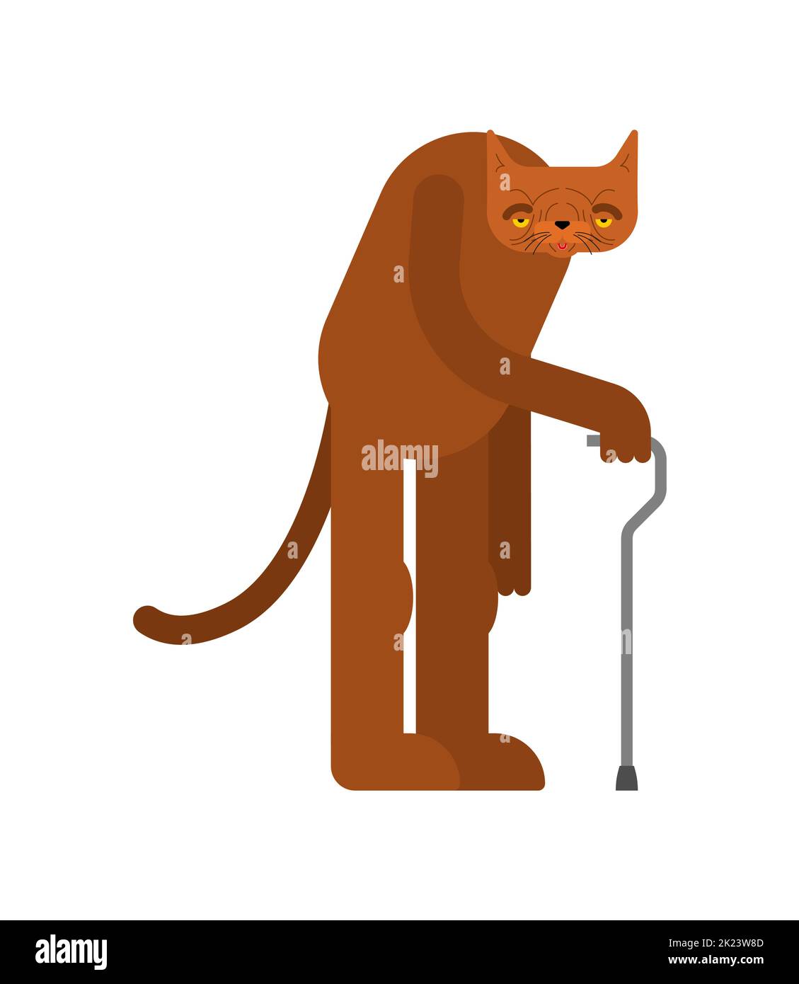 Old cat isolated. Grandpa cat. Vector illustration Stock Vector Image ...