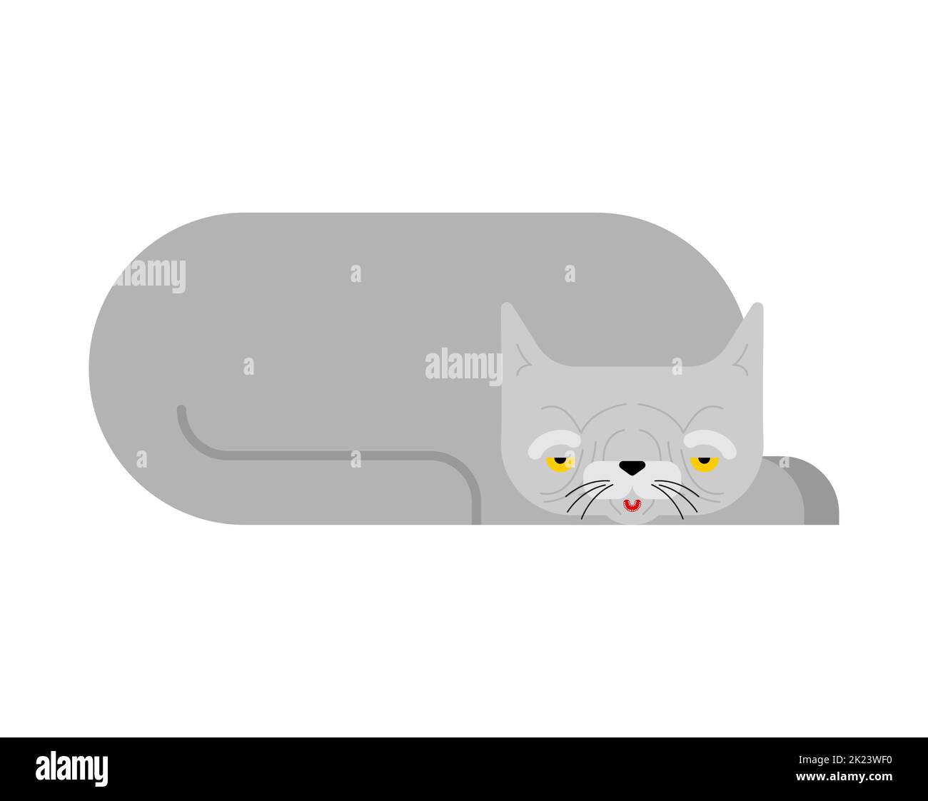 Old cat isolated. Grandpa cat. Vector illustration Stock Vector Image ...
