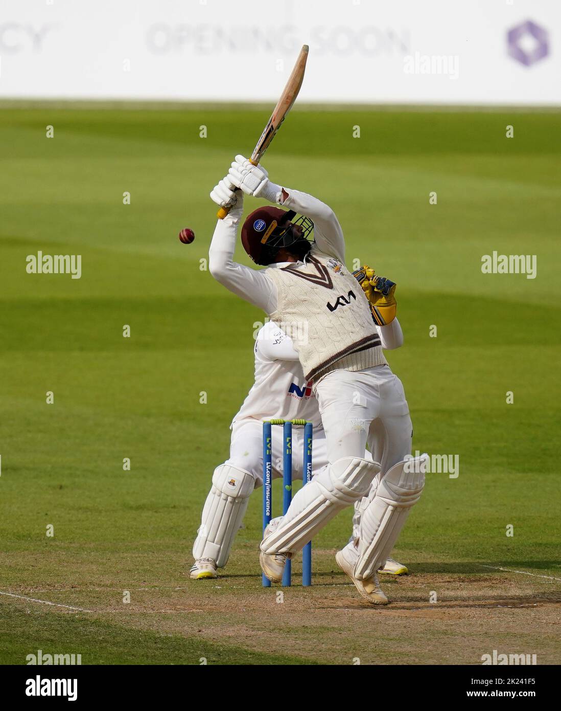Surreys ryan patel hi-res stock photography and images - Alamy