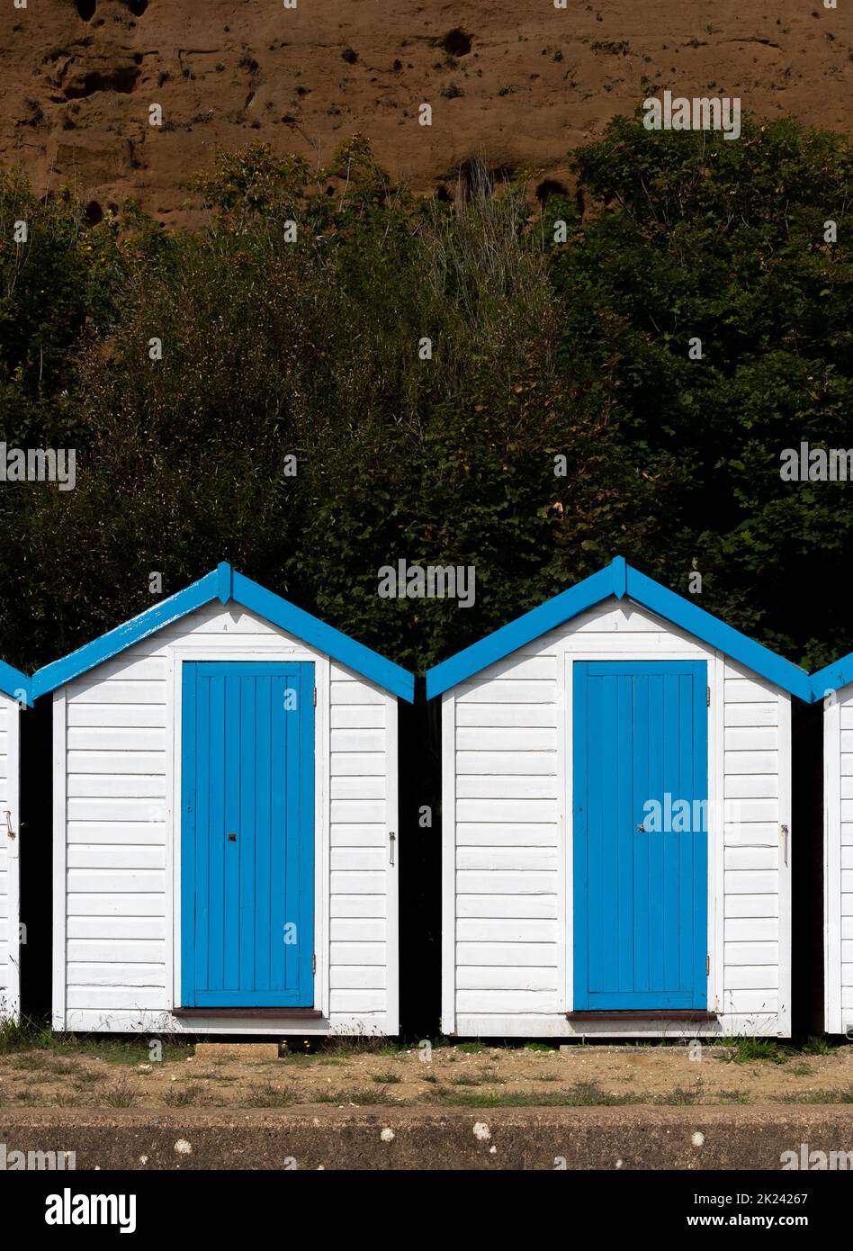 Bright blue and white beach huts stand out from dark foliage behind ...
