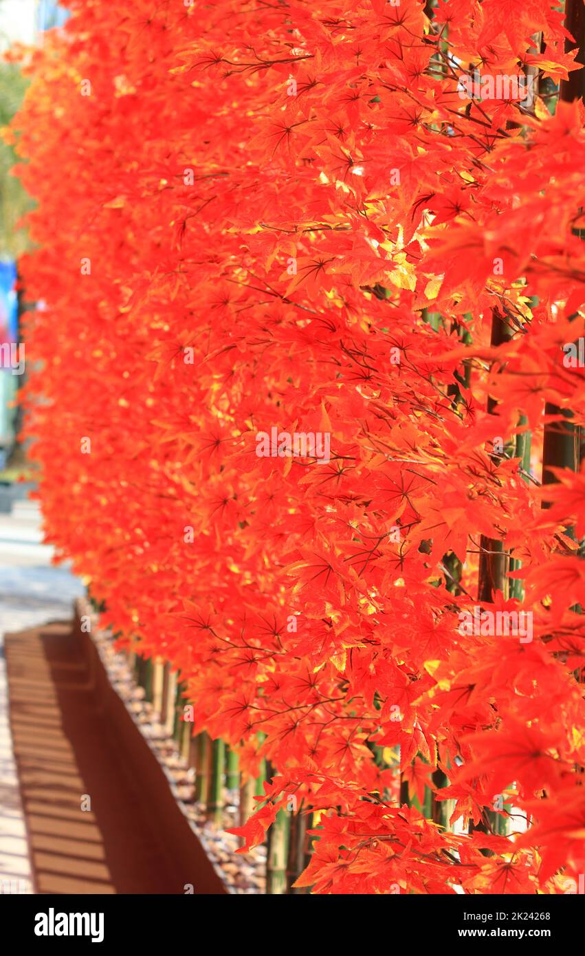 red tree wall fence for park or garden decorative Stock Photo - Alamy
