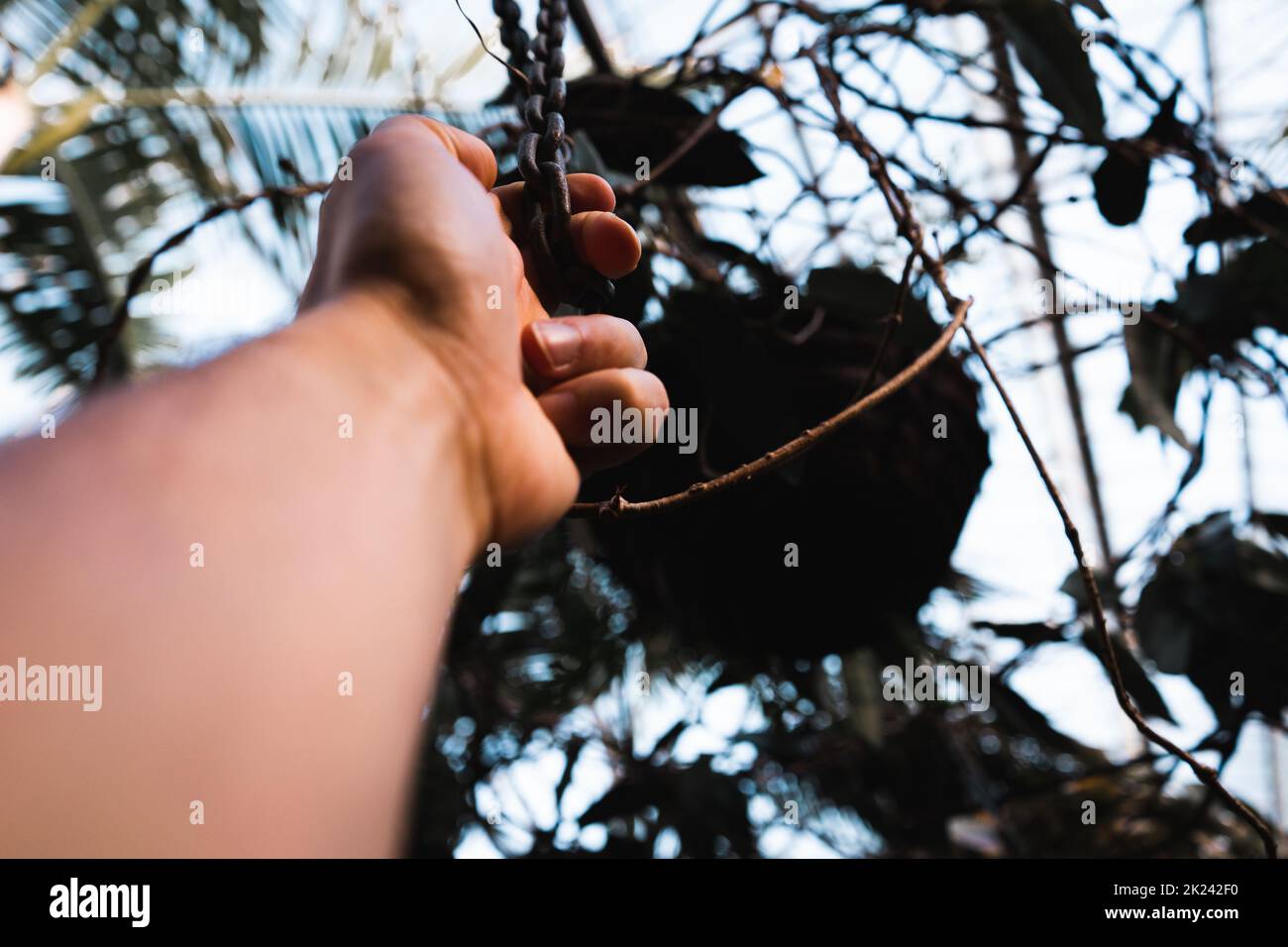 left arm and hand holding on to a chain Stock Photo - Alamy