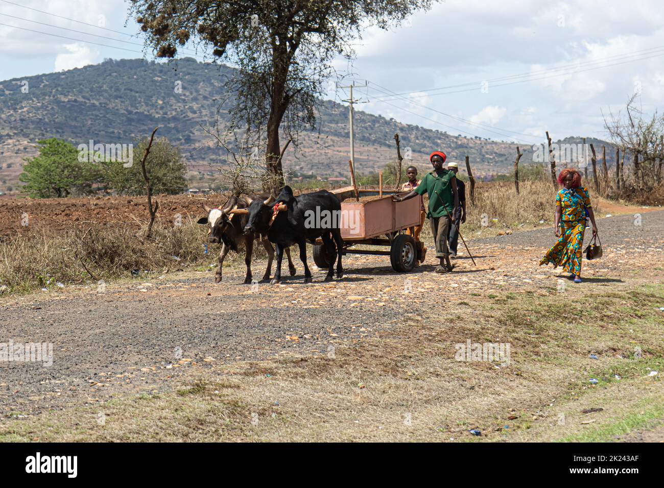African shepherds people hi-res stock photography and images - Alamy