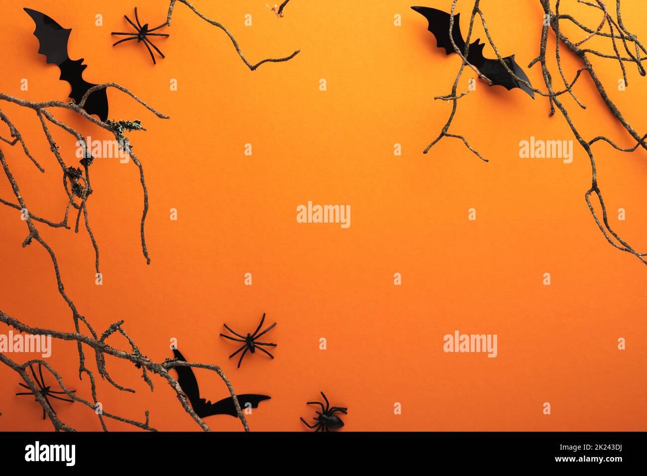 Halloween background. Flock of black bats, spider, pumpkin, skeleton ...