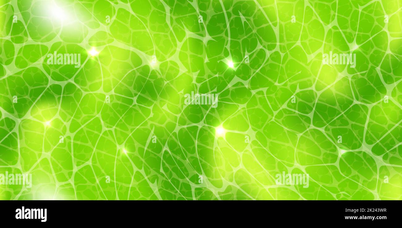 Abstract green wallpaper or plant cells texture under a microscope ...