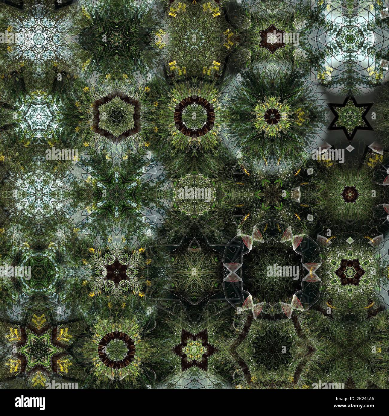 Abstract Computer generated Fractal design. A fractal is a never-ending ...