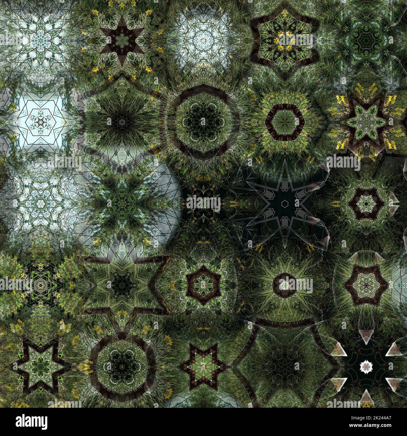 Abstract Computer generated Fractal design. A fractal is a never-ending ...