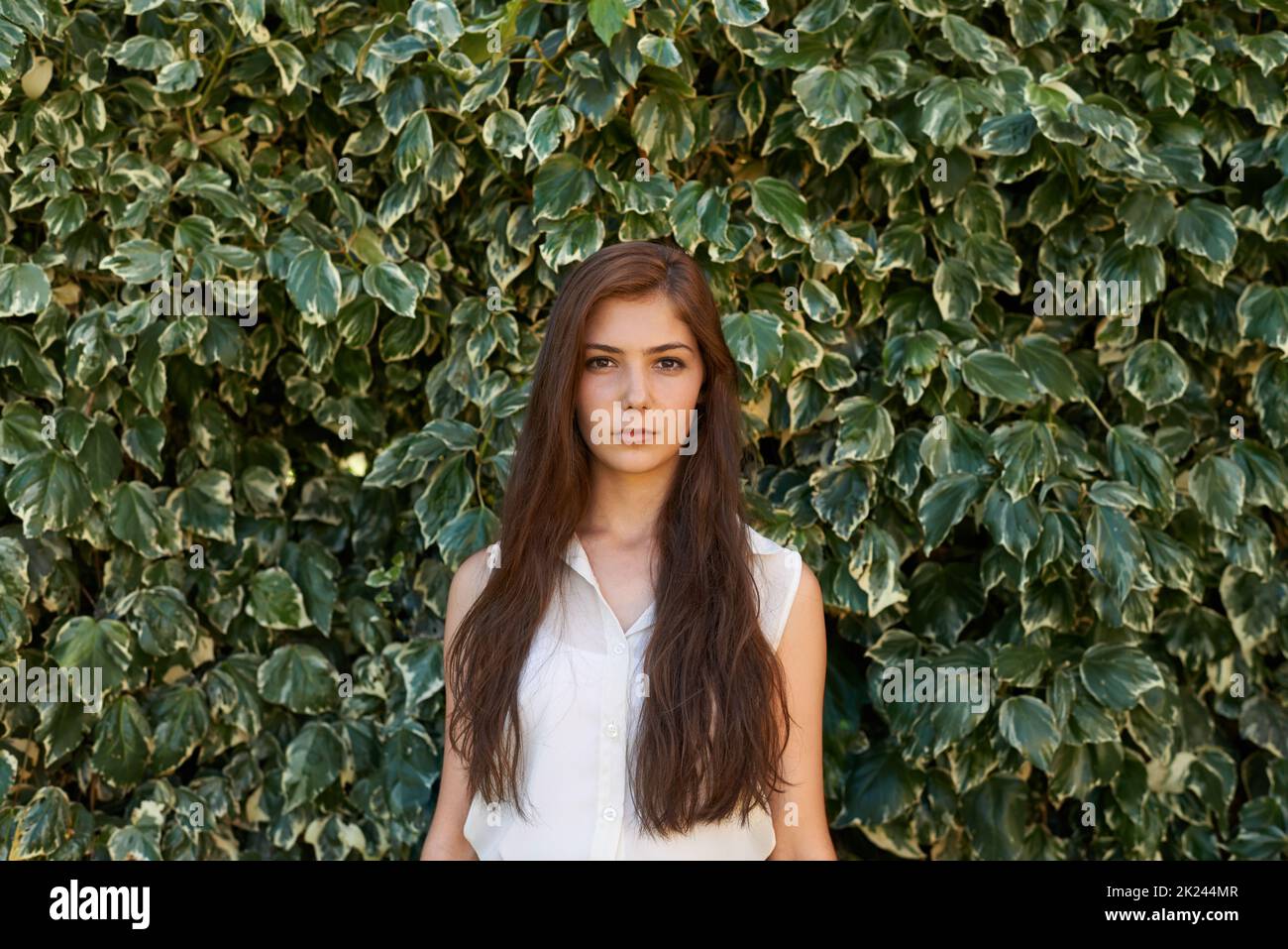 Happy hedge hi-res stock photography and images - Alamy