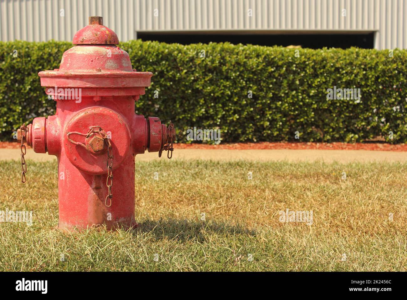 Vintage Red Fire Hydrant in Front of City Building Stock Photo - Alamy