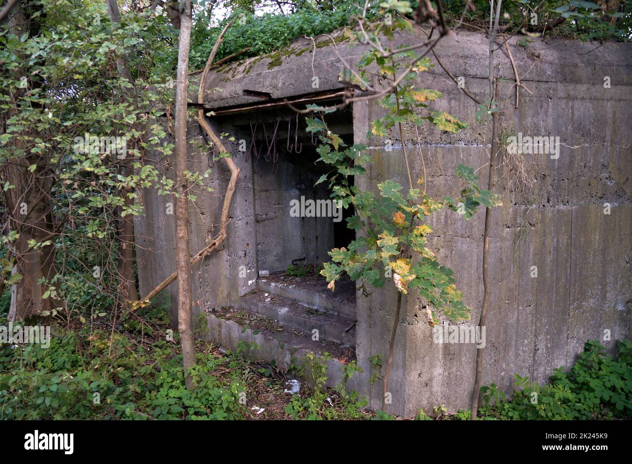 Long-term firing point at the line of defense of the Brest fortress ...