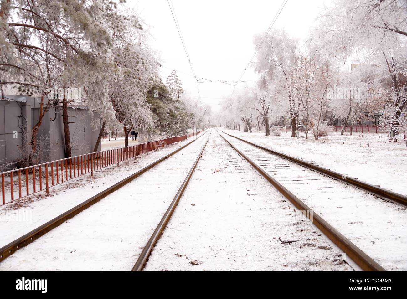 Covered tram hi-res stock photography and images - Alamy