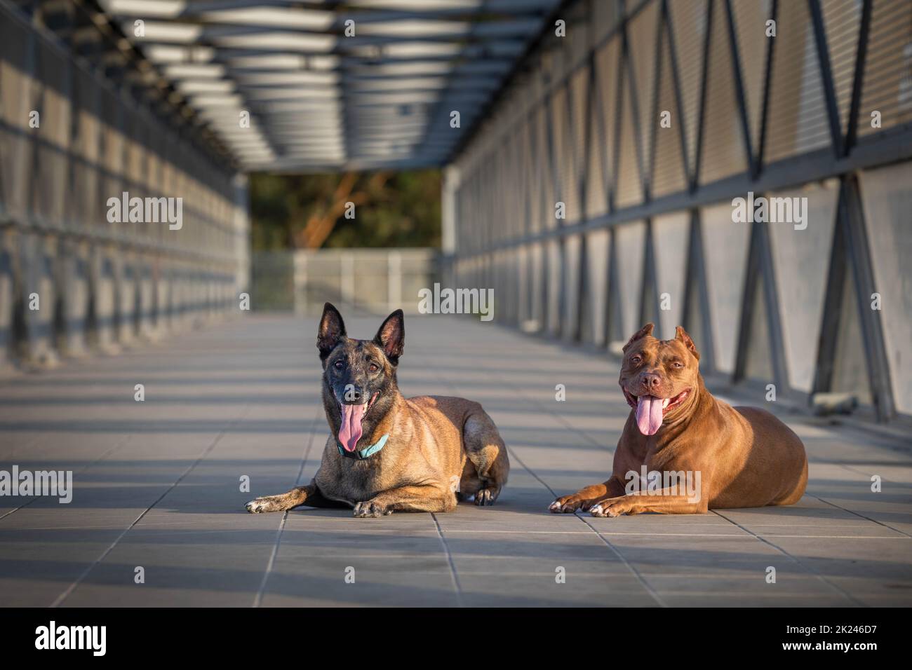 Two friends sitting on bridge hi-res stock photography and images - Alamy