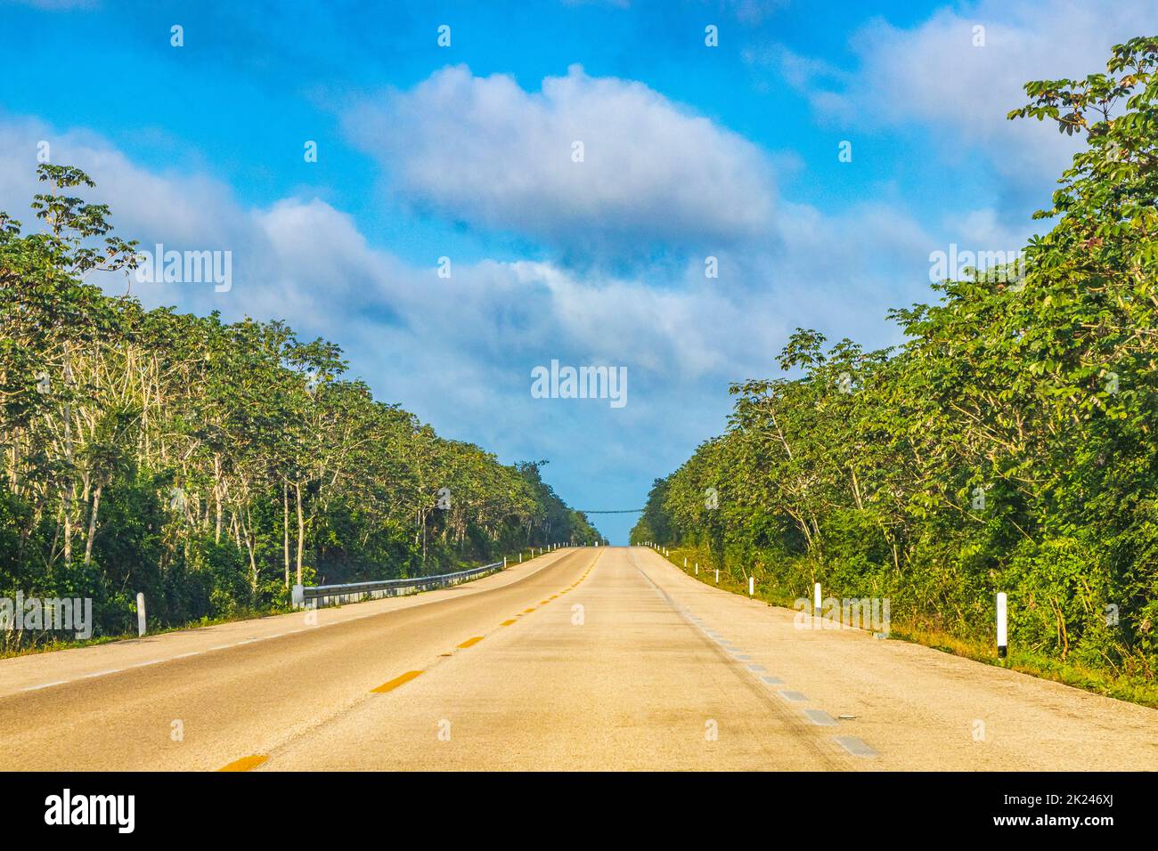 Driving on the highway in the jungle and tropical nature of Playa del ...