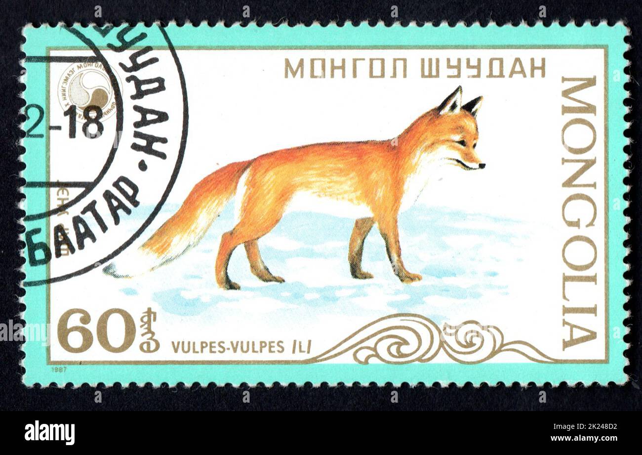 MONGOLIA - CIRCA 1987: A stamp printed in Mongolia shows Vulpes Red Fox ...