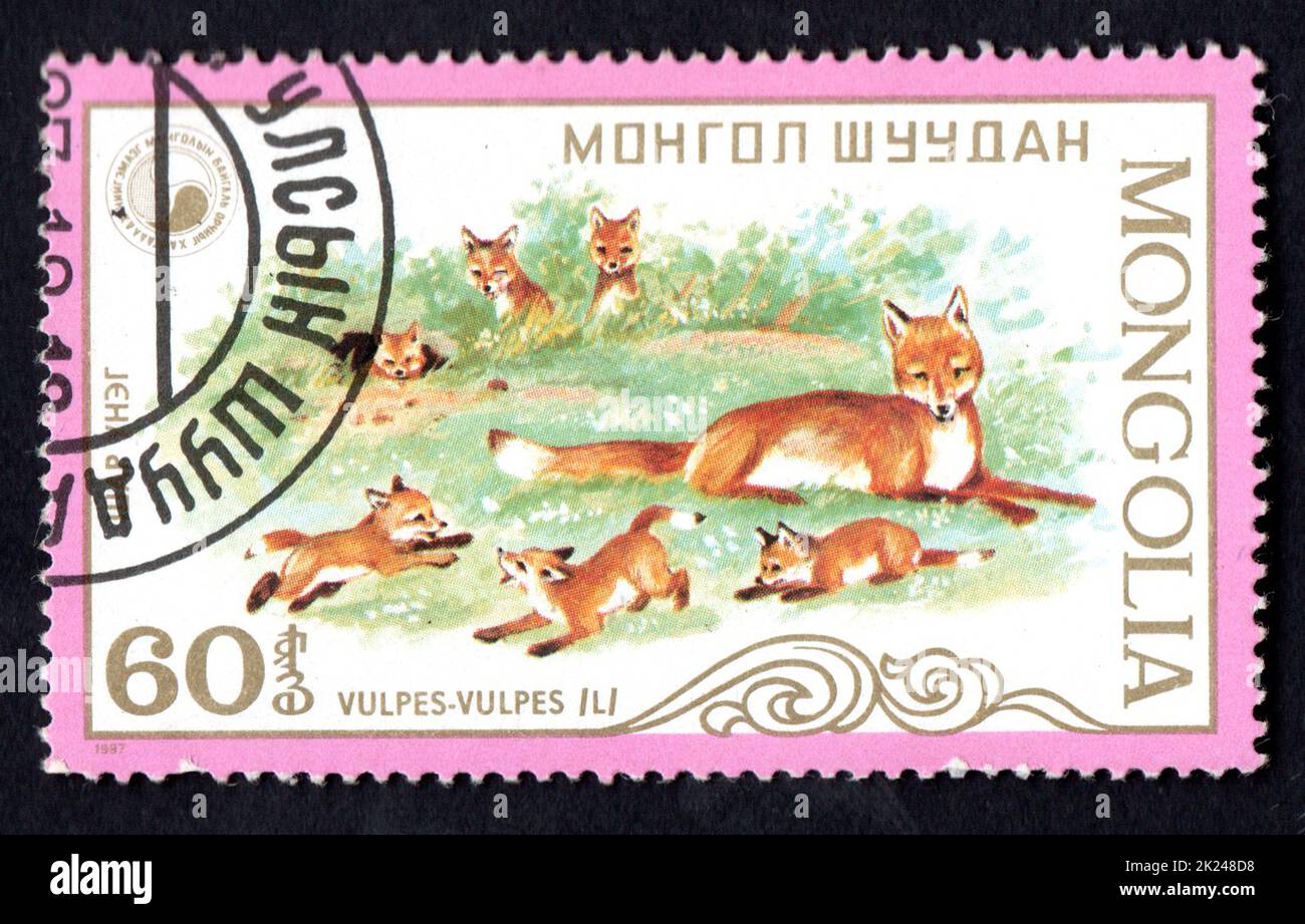 MONGOLIA - CIRCA 1987: A stamp printed in Mongolia shows Vulpes Red Fox ...
