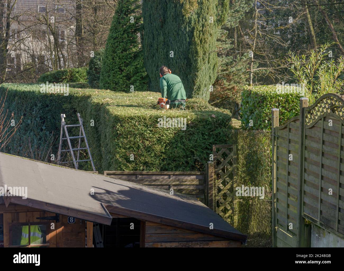 Man gardening with hedge trimmers Stock Photo - Alamy