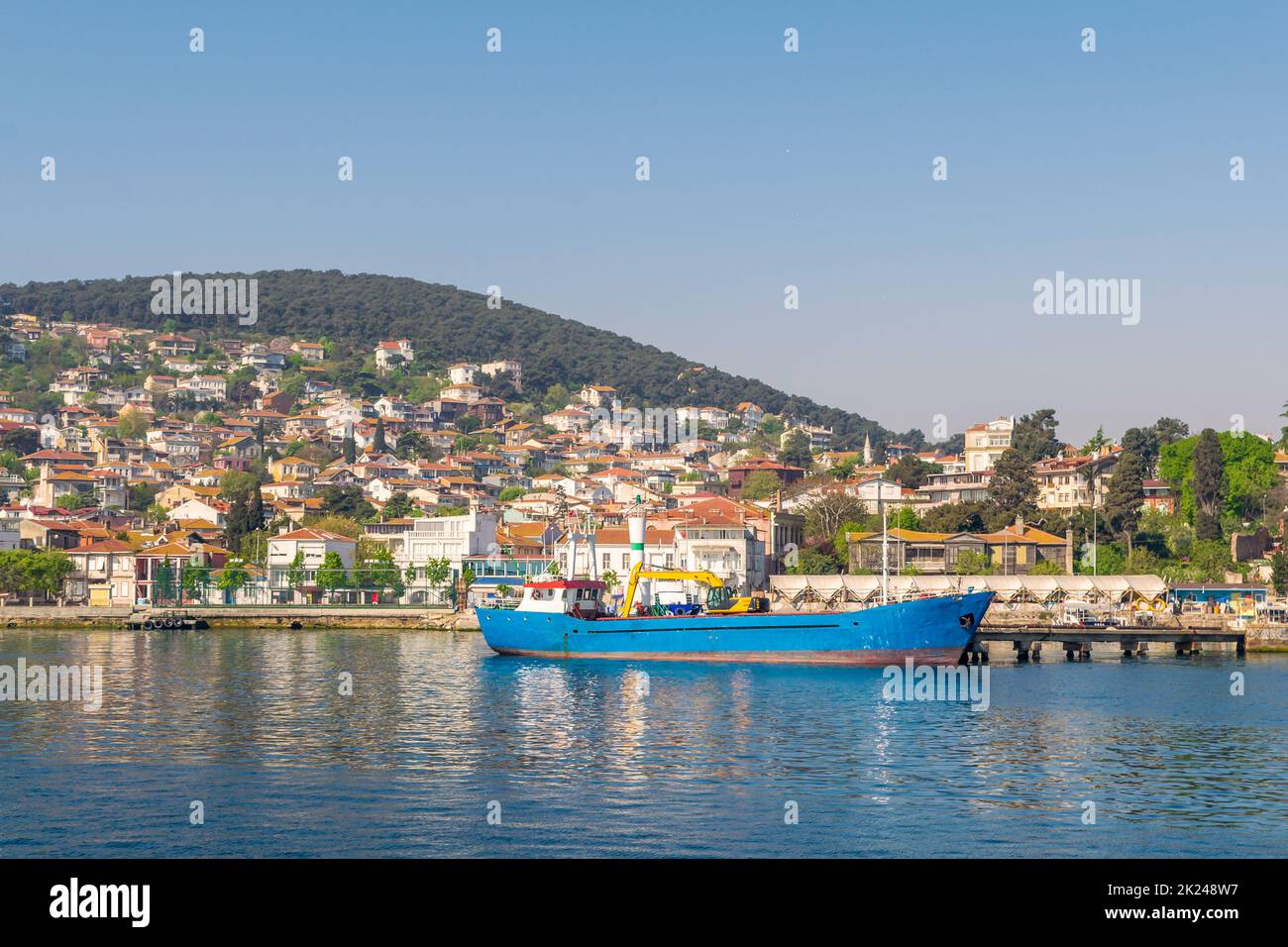 View of Heybeliada island from the sea with summer houses. the island ...