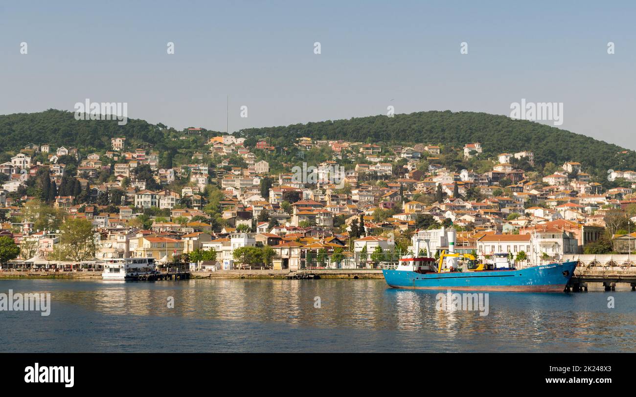 View of Heybeliada island from the sea with summer houses. the island ...