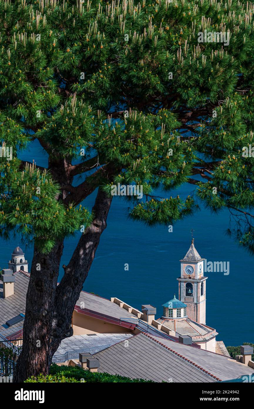Crevari hi-res stock photography and images - Alamy
