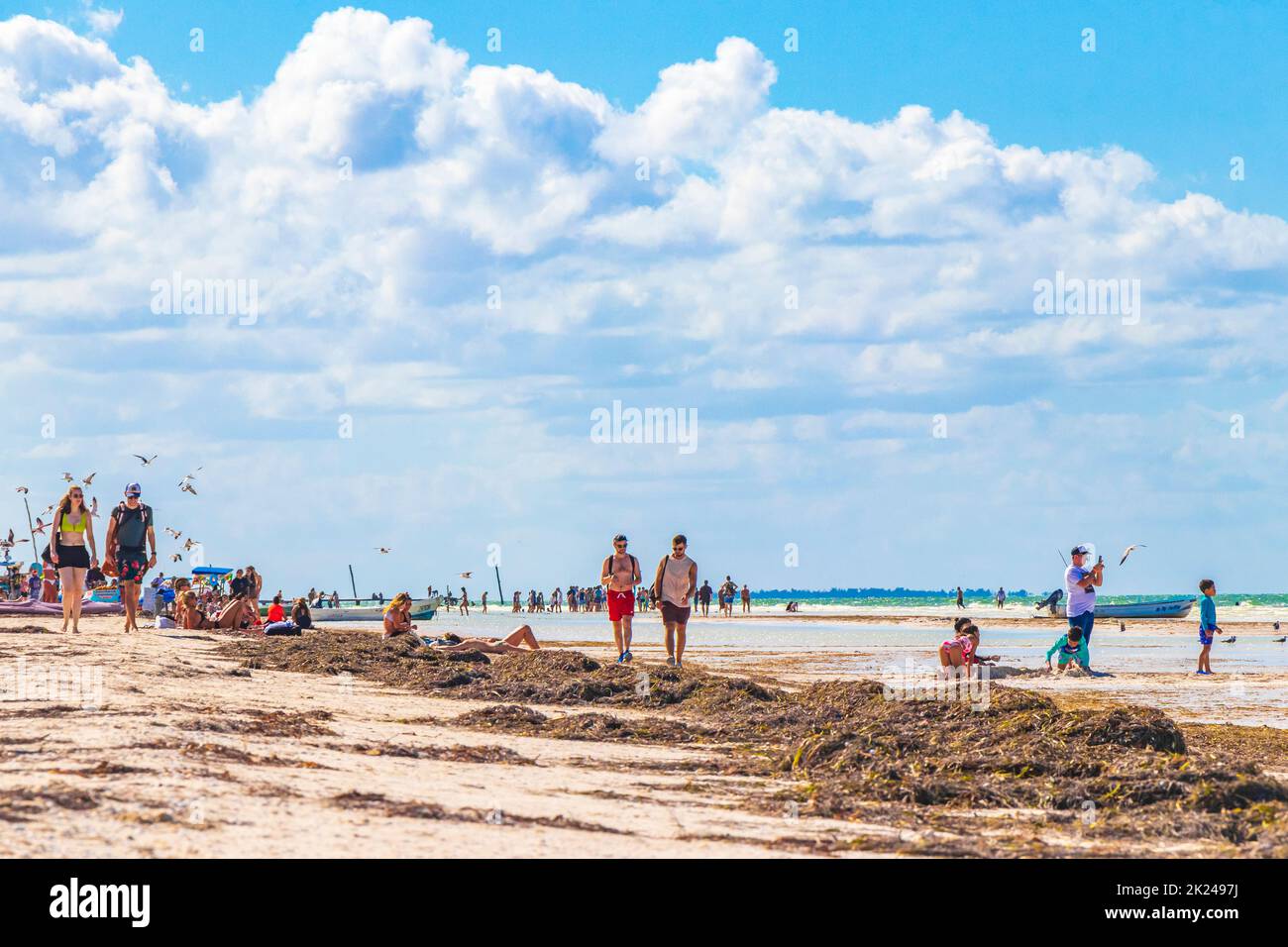 Holbox Mexico 22. December 2021 Panorama landscape view on beautiful ...