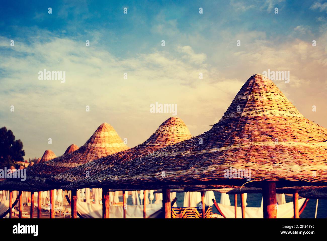 Thatched parasols on the beach at sunset Stock Photo - Alamy