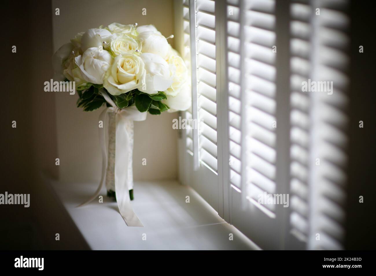 Upright petals hi-res stock photography and images - Alamy
